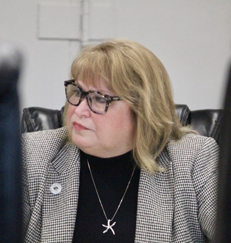 Stoyle backs fiscal officer after state criticism | News, Sports, Jobs ...